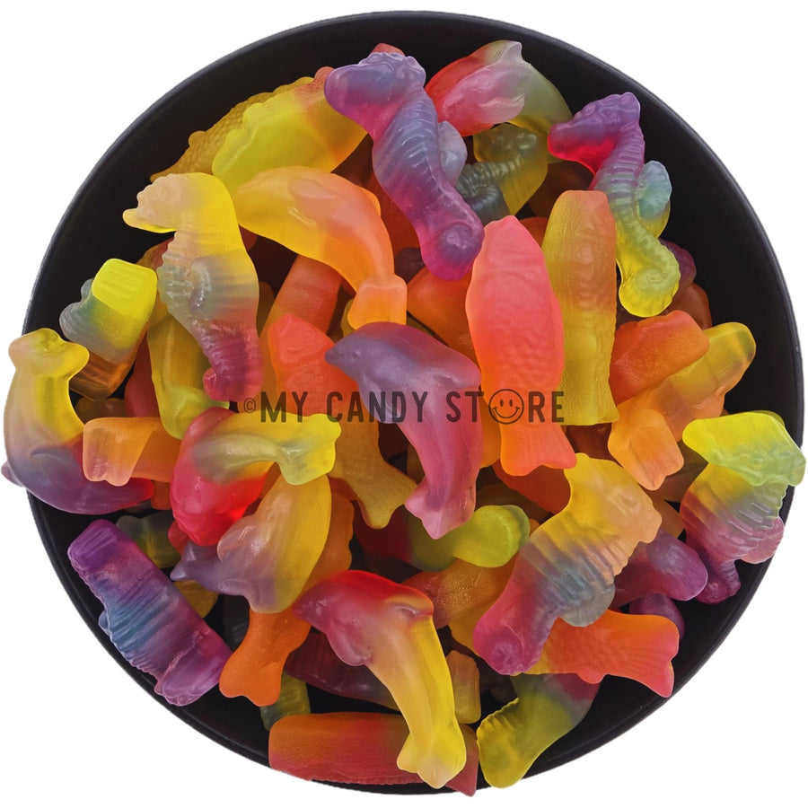 Rainbow Sea Animals